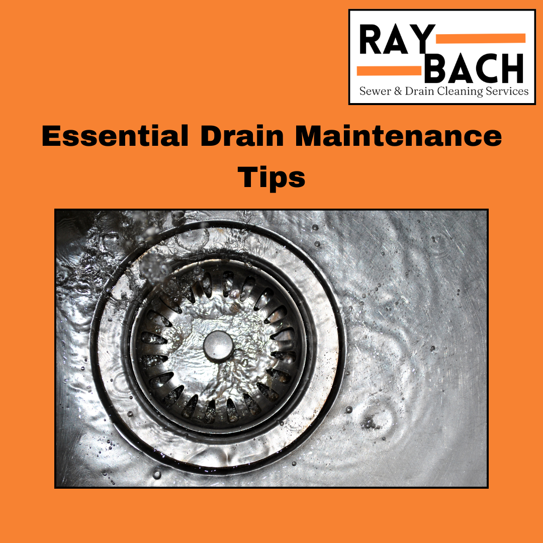 Raybach Sewer & Drains | Essential Drain Maintenance Tips